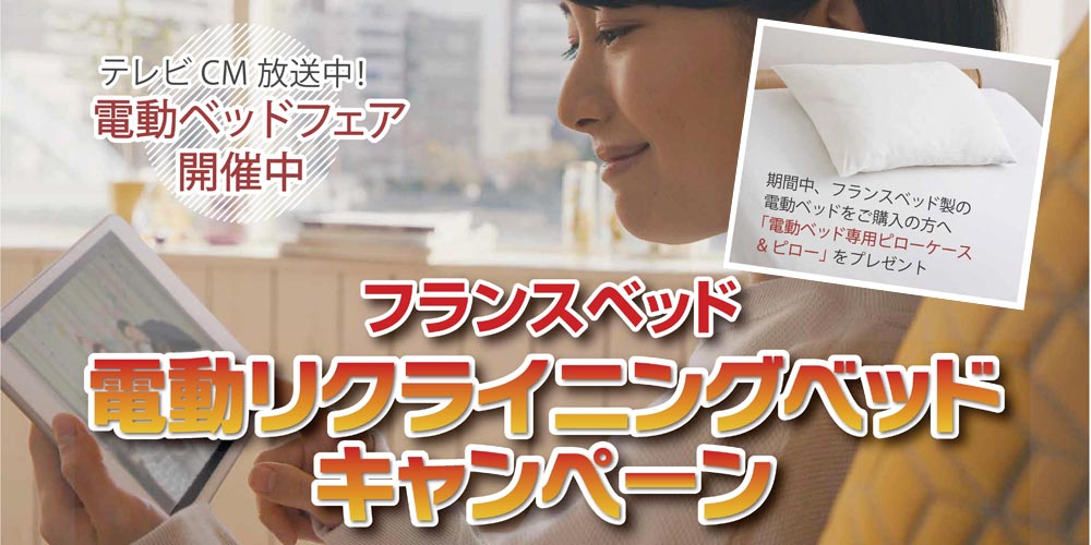 フランスベッド クォーレックス CU-201F 電動ベッド リクライニングベッド かため 設置 組立 シングル キャスター 送料無料 ワイヤレス 無料 両面仕様 フラット 厚さ21cm RX ...